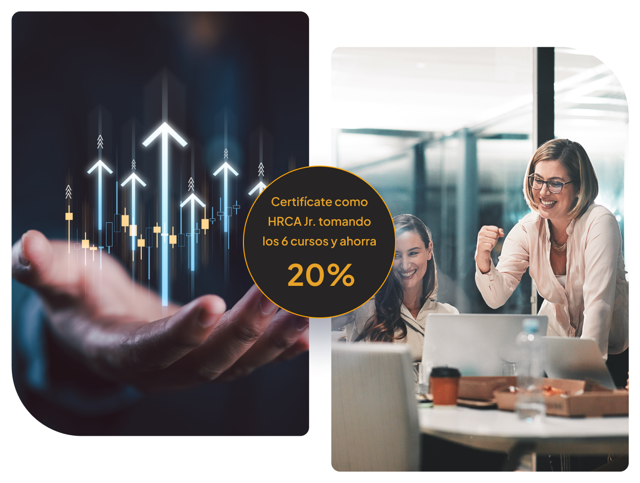 Cursos - People Academy